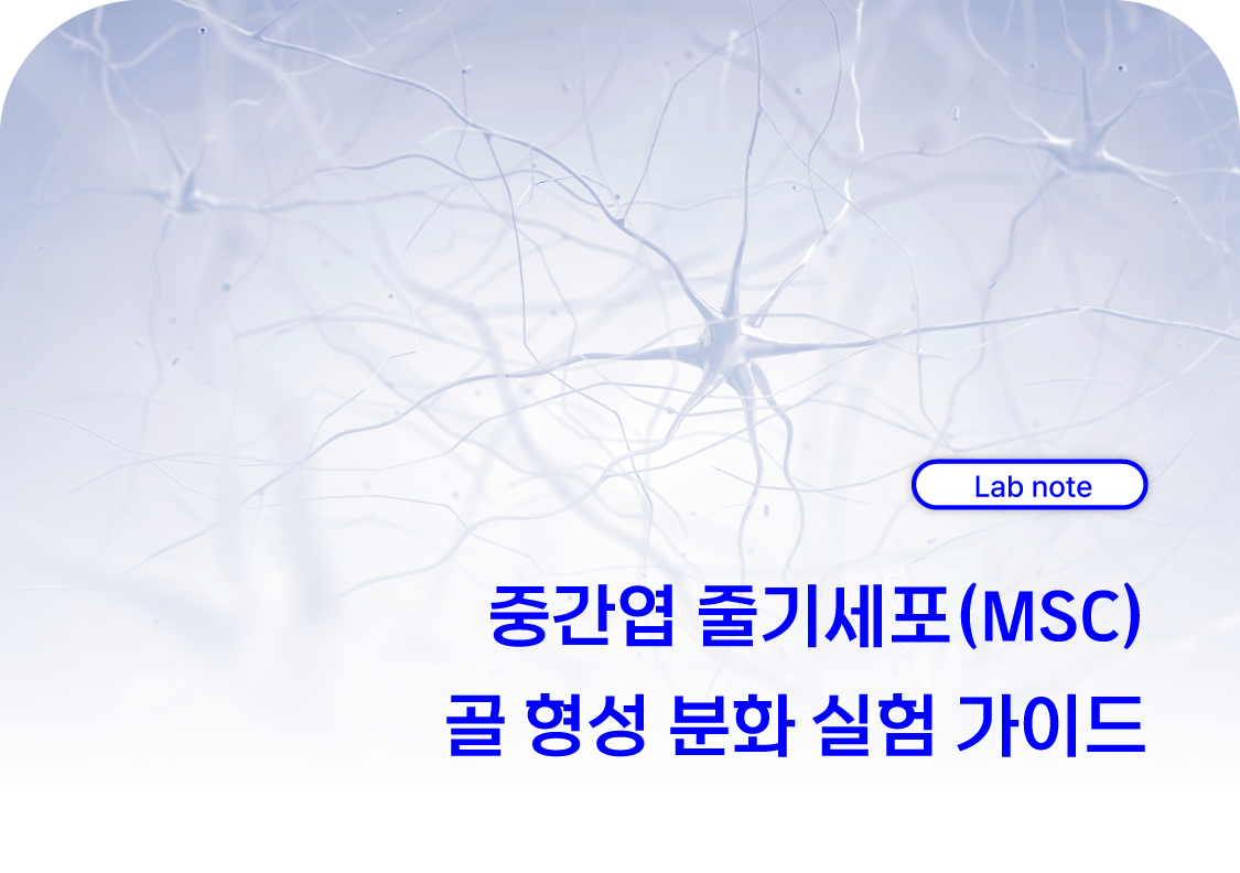 중간엽 줄기세포(MSC) 골 형성 분화 실험 가이드 – Welgene