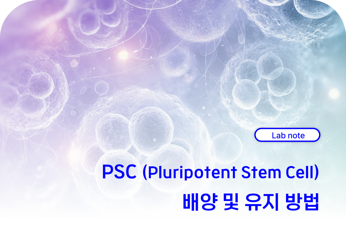 PSC (Pluripotent Stem Cell) 배양 및 유지 방법 – Welgene